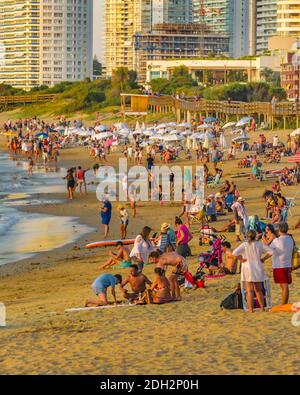 Crowded Mansa Beach, Punta del Este, Uruguay Stock Photo - Alamy