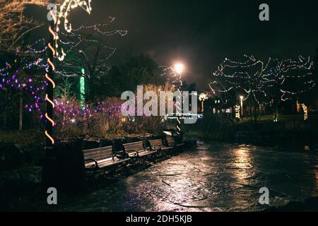 the bright lighhts of bowring park, newfoundland at night during the ...