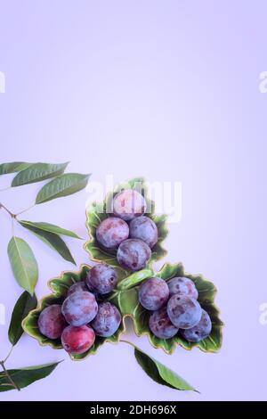 fresh ripe plums in a light ceramic plate on a wooden background Stock ...