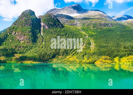 Norwegian landscape with Nordfjord fjord, mountains, flowers and ...