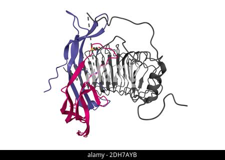 3D image of Follicle-stimulating hormone beta subunit skeletal formula ...