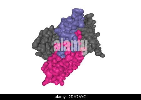 3D image of Follicle-stimulating hormone beta subunit skeletal formula ...