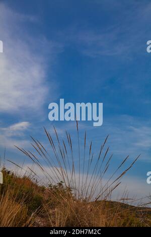 Vertical shot of a blue cloudy sky on a sunny day - great for ...