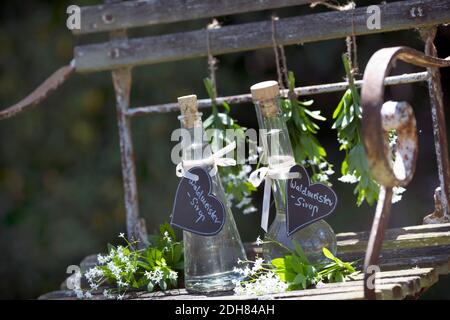 sweet woodruff (Galium odoratum), Sweet Woodruff syrup, Germany Stock ...
