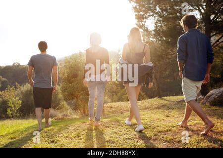Rear view of friends walking on footpath at park Stock Photo - Alamy
