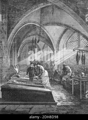 the mummies in the basement of the Cathedral of Bremen, Germany, called ...