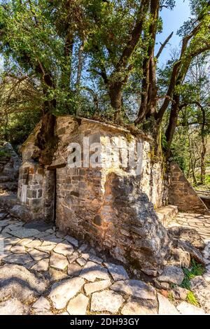 Agia Theodora of Vasta miracle church in Peloponnese, Greece. Trees ...