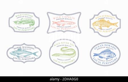 Premium Quality Horse Mackerel Vector Packaging Label Design Modern ...