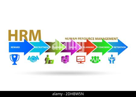 HRM - human resources management business concept Stock Photo - Alamy