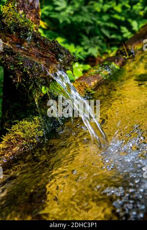 Old Mossy Spring And Fountain With Clear And Cold Mountain Water ...