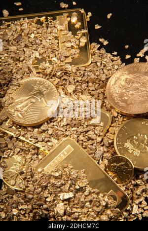 large samples of pure gold in various forms including coins, ingots ...