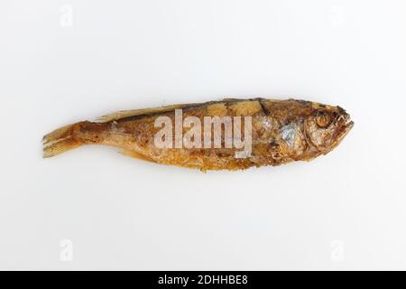 Grilled yellow corvina on white background Stock Photo - Alamy
