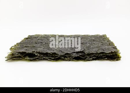 Blue seaweed in square shape on white background Stock Photo - Alamy