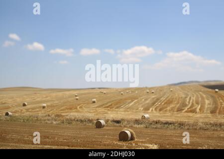 Hay fields under cloudy sky view, agricultural landscape of Prigorje ...