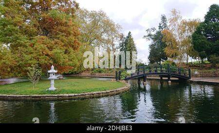 Feature on Stoke Park, Guildford - Autumnal colours, as work continues ...