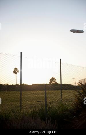 Blimp and palm trees Stock Photo - Alamy