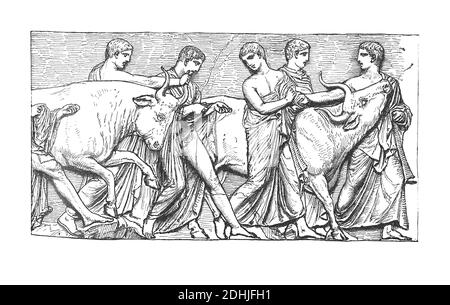 Original artwork of Sacrificial victims in procession - (From the ...