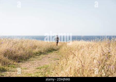 Muscular male jogger running along path in meadow during training on ...