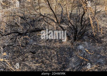 Location of a coal seam fire burning underground, ignited by a ...