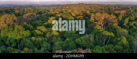 Large panorama of the Amazon rainforest. Area of Cristalino, southern ...
