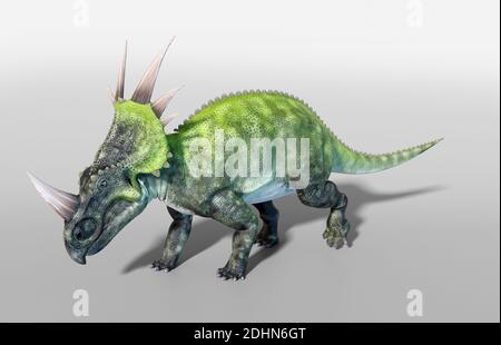 Artwork of the ceratopsian dinosaur styracosaurus. The ceratopsians ...