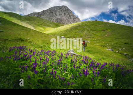Mount Giona, the Highest Mountain of Southern Greece, panoramic view of ...