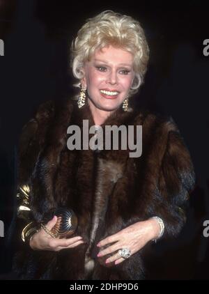 Eva Gabor 1985 Photo By John Barrett/PHOTOlink.net/MediaPunch Stock ...