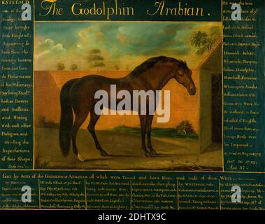 Daniel Quigley - The Godolphin Arabian Stock Photo - Alamy