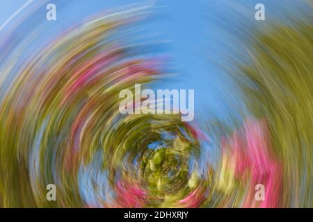 Artsy swirling motion blurred purple flowers Stock Photo - Alamy