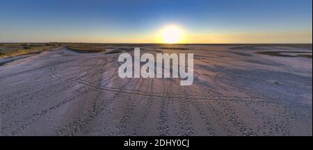 Top view of a sandy swamp with large patches of grass and bushes Stock ...