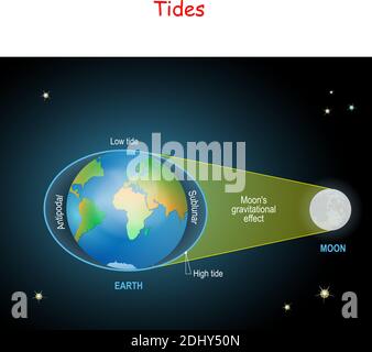 Lunar and Solar tides diagram vector illustration Stock Vector Image ...