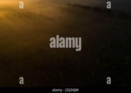 autumn,dawn,sunlight,forest,fog,mist,nature, sunset,russian nature ...
