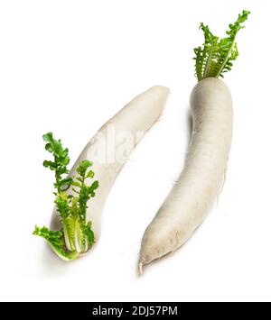 Mooli radish or Daikon isolated on a white studio background Stock ...