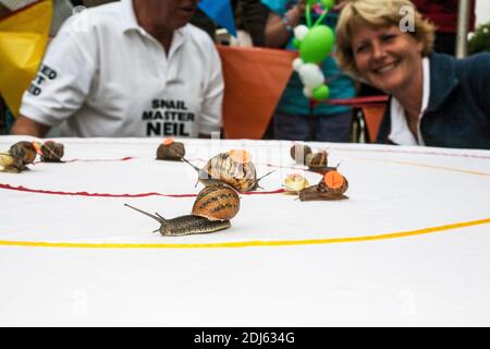 GREAT BRITAIN / England /Congham/ World Snail Racing Championships 2013 ...