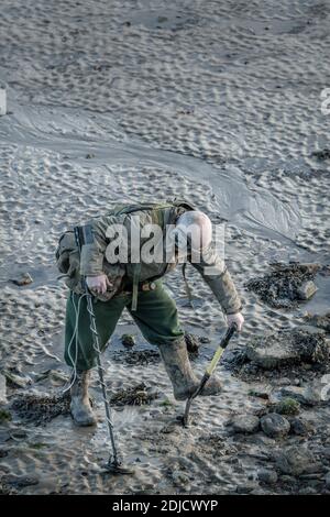 Metal detectorist searching for hidden treasure on a shingle beach in ...
