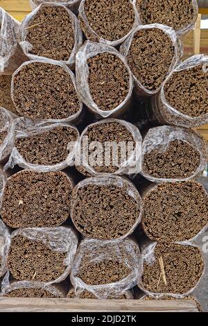 New reed material packed in bundles storage Stock Photo - Alamy