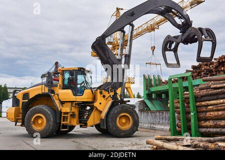 Grapple loader loading logs onto waiting logging truck. Cutblock just ...