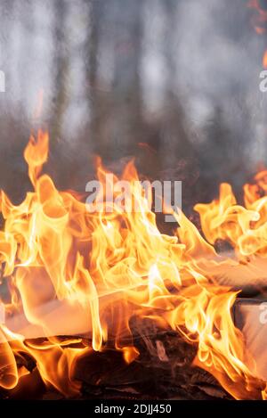 Fire flames, burning pile of cardboard and waste paper Stock Photo - Alamy