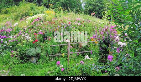 Flowers in a South Tyrolean cottage garden Stock Photo - Alamy