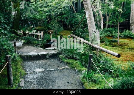 Moss garden at Gioji temple, Kyoto, Japan, Spring Stock Photo - Alamy