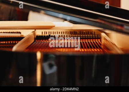 Pattern of hammers and strings inside piano, close up. One hummer in ...