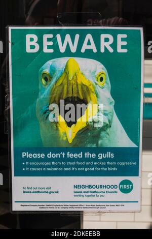 England, East Sussex, Eastbourne, Beware of Seagull Menace Poster Stock ...