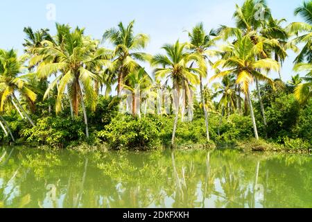 The Kerala backwaters are a chain of brackish lagoons and lakes lying ...
