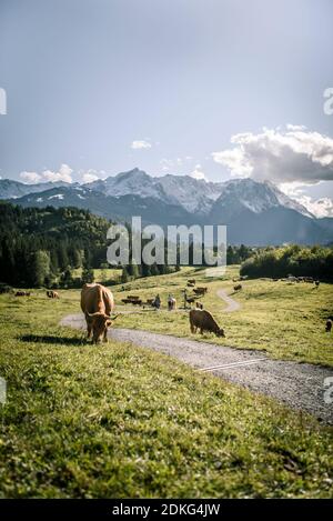 Philosophenweg, Germany, Bavaria, Garmisch-Partenkirchen Stock Photo ...