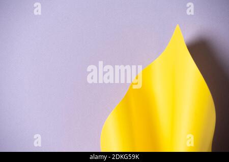 Abstract creative geometric curved shape yellow and light gray color ...