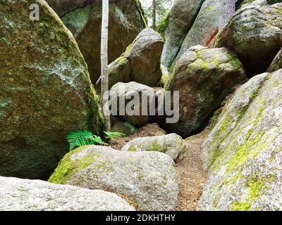 Rock labyrinth, Felsenmeer, Luisenburg, Bavarian Siberia, Bavarian ...
