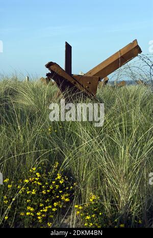German Tank Trap Hedgehog on Omaha Beach site of the famous D Day ...