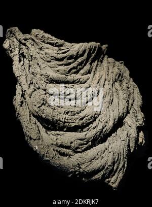 Solidified ropy pahoehoe type lava in Hawai'i Volcanoes National Park ...