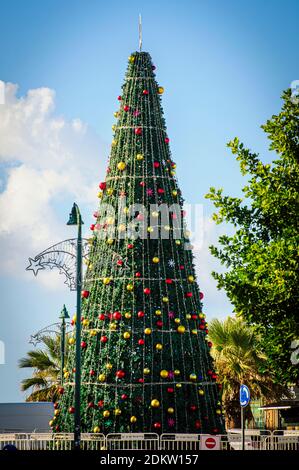 Big Christmas tree decorated with blue and silver baubles. Festive ...