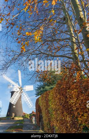 The restored Holgate windmill, York Stock Photo - Alamy